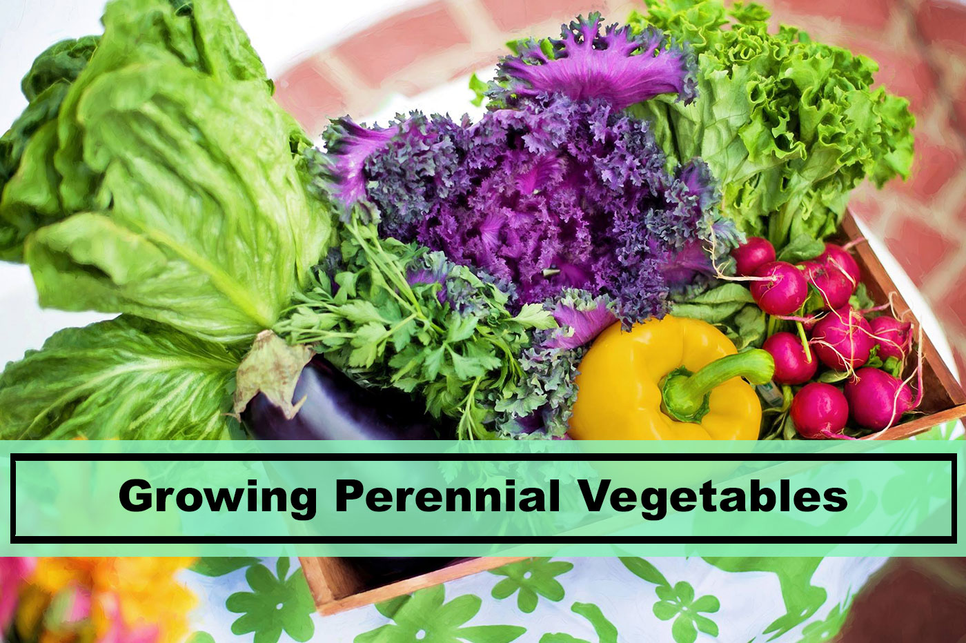 ultimate-list-of-perennial-vegetables-to-plant-in-your-garden-plants